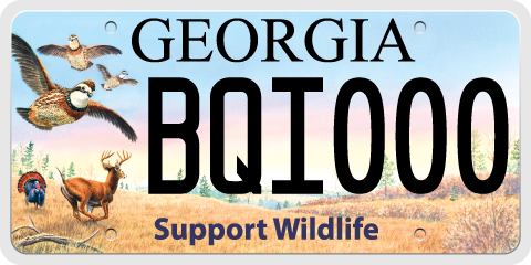New GA Wildlife Tags to Benefit Wildlife Preservation – WABE