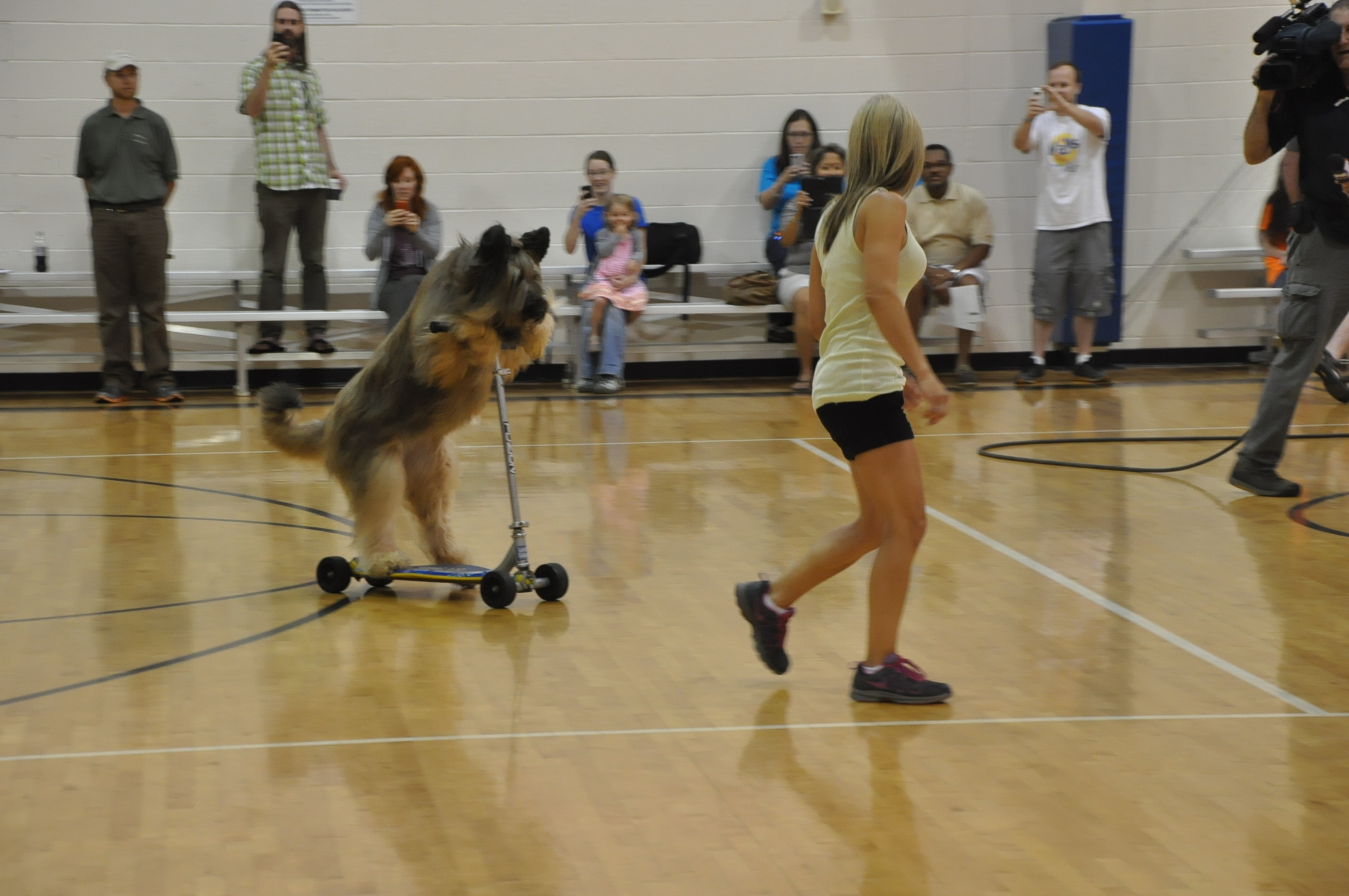 Norman the Scooter Dog Sets Guinness World Record – WABE