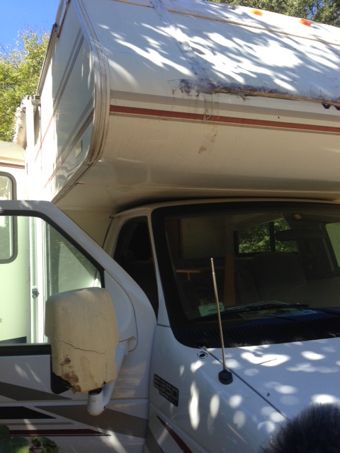 Reporter’s Notebook: The Shock of Compassion – WABE