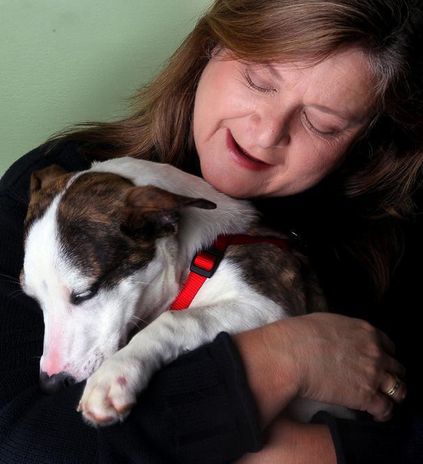 Saving Metro Atlanta’s Homeless Animals: A Conversation with Lifeline’s ...