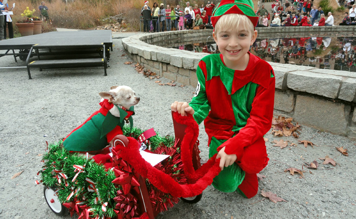 Hanukkah Goblins, Concerts, Reindog Parade and Printmaker’s Studio this ...