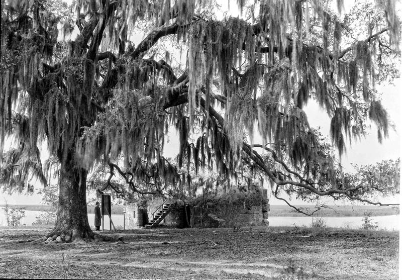 Atlanta Authors Celebrate Park Photographer George Grant – WABE