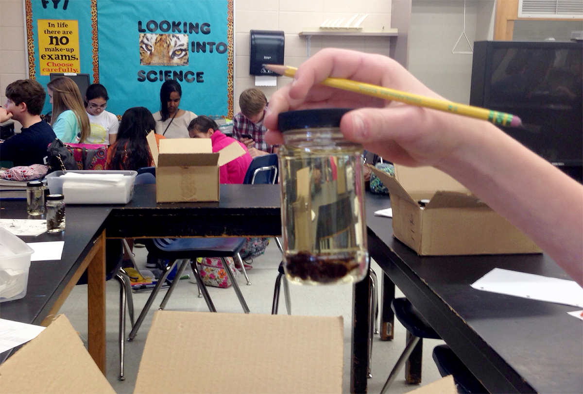 Georgia Students Show Improvement On National Science Test – WABE