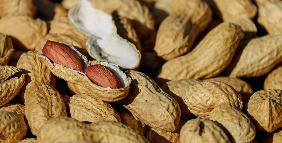 Medical Minute: Treating A Deadly Peanut Allergy – WABE