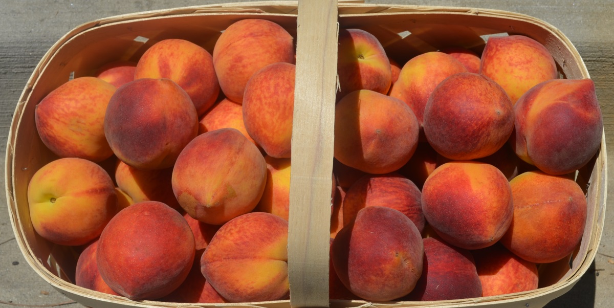 Weather Takes A Toll On States’ Peach Crops – WABE