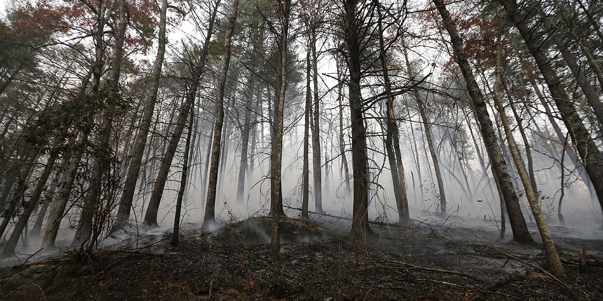 Crews Work To Box In Wildfire Near Georgia-Florida Line – WABE