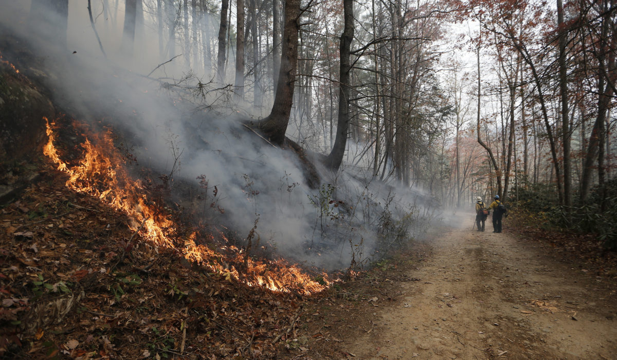 US Wildfire Risk Is Above Average For Southwest, Georgia – WABE