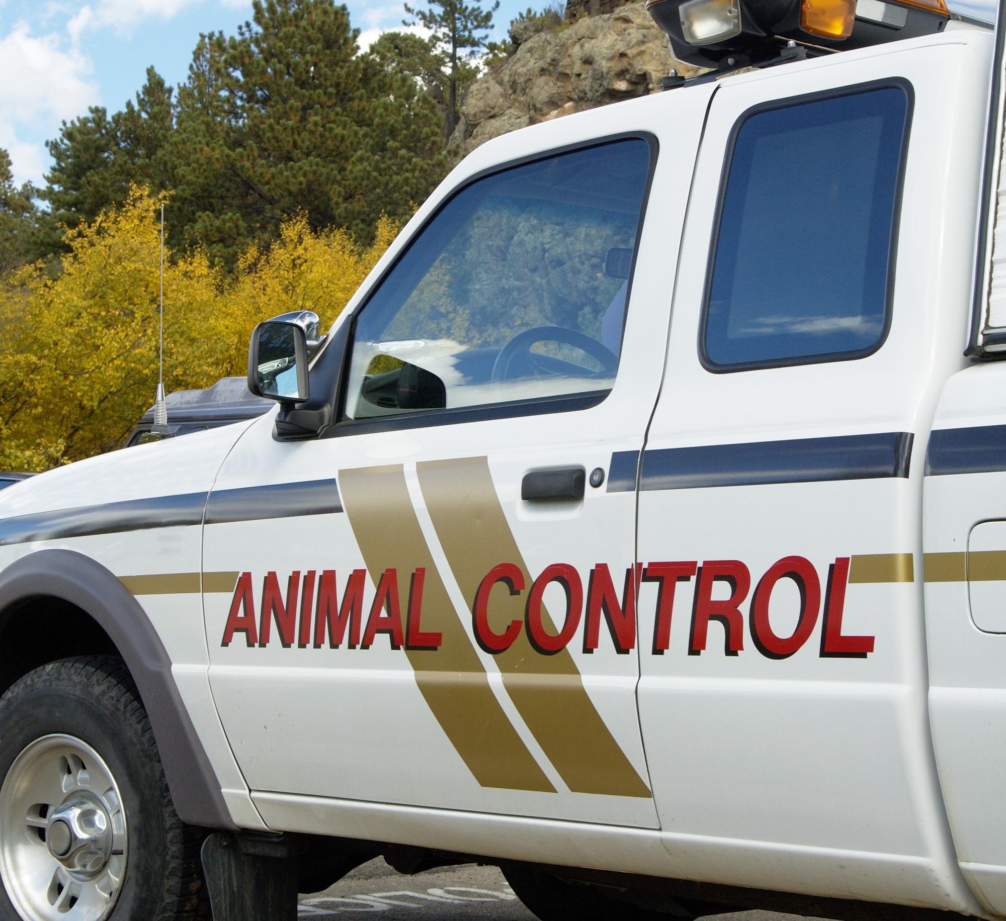 Closer Look: ‘Dangerous Dogs’; Georgia Ballots; And More – WABE