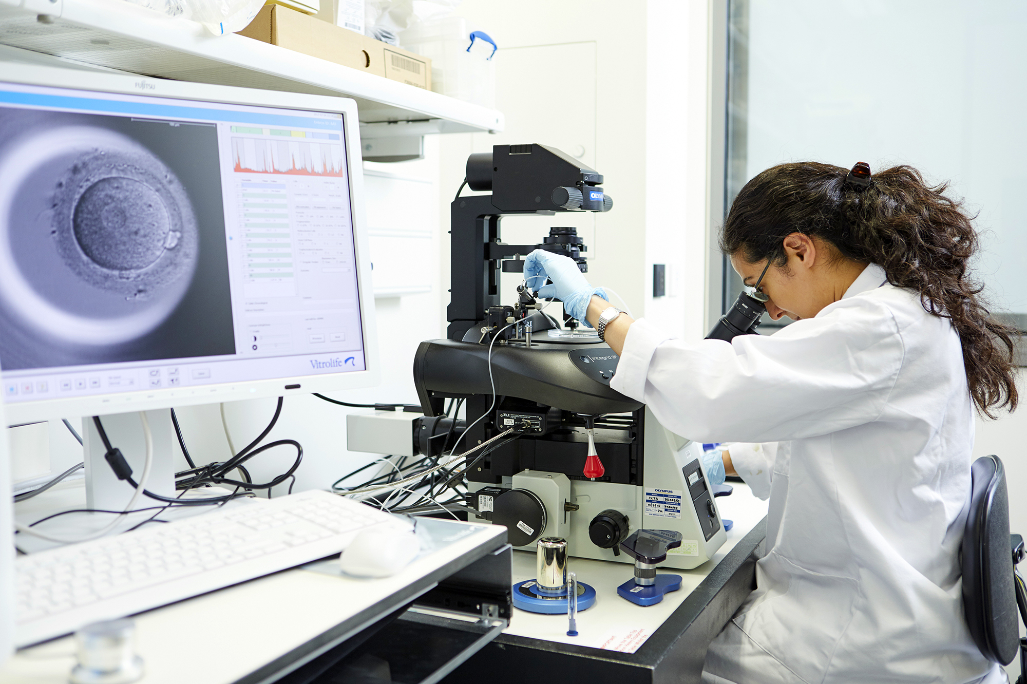 Editing Embryo DNA Yields Clues About Early Human Development – WABE