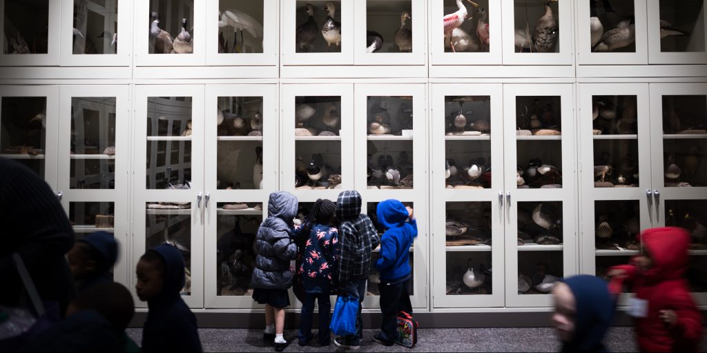 Fernbank Science Center, An Atlanta Institution, Celebrates 50 Years – WABE