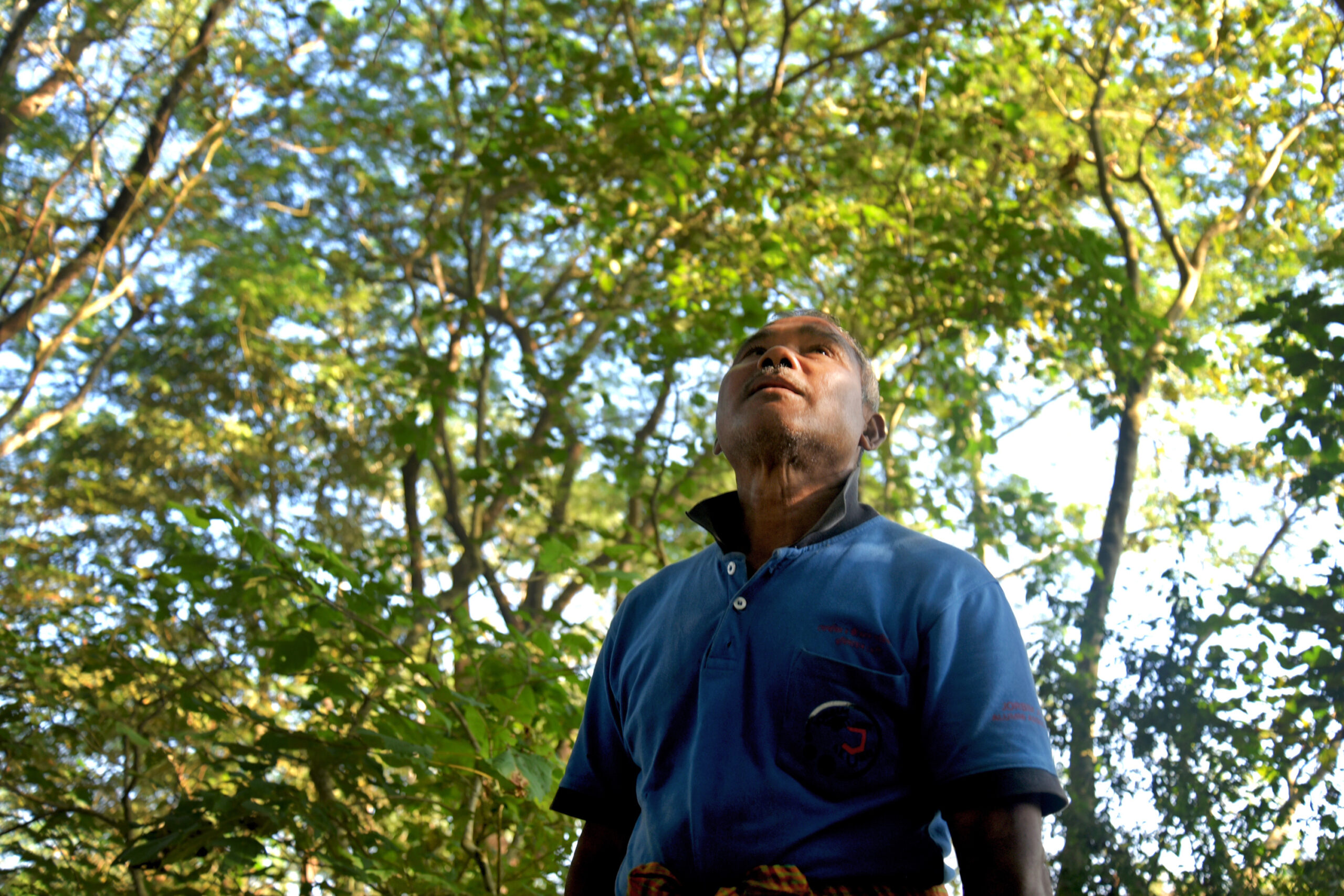 A Lifetime Of Planting Trees On A Remote River Island: Meet India’s ...