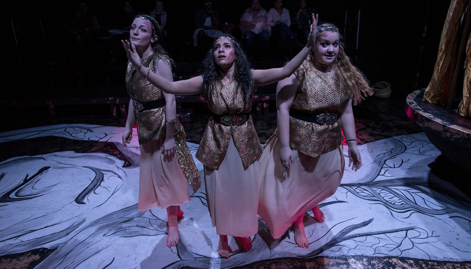 ‘The Followers’ Focuses On Women In Ancient Greek Tragedy – WABE