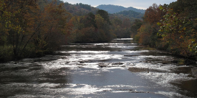 North Georgia River Named ‘Native Fish Conservation Area’ – WABE