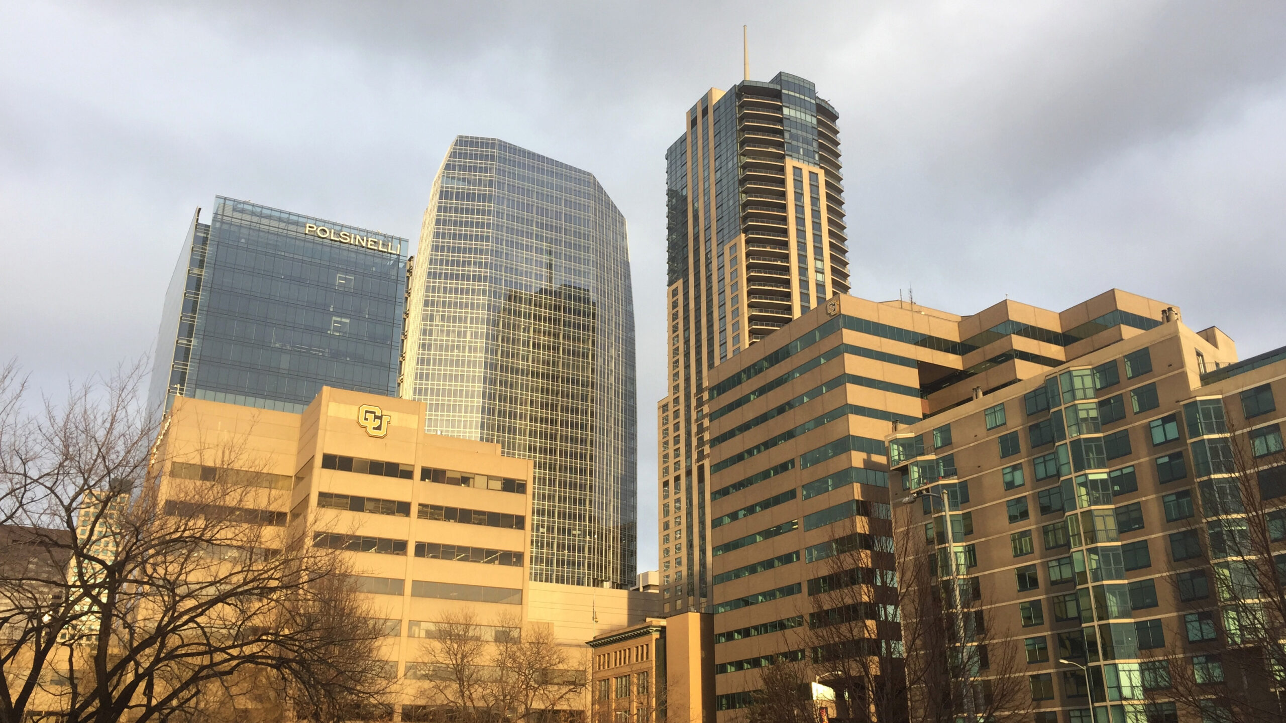 Despite Progress, Cities Struggle With Ambitious Climate Goals – WABE