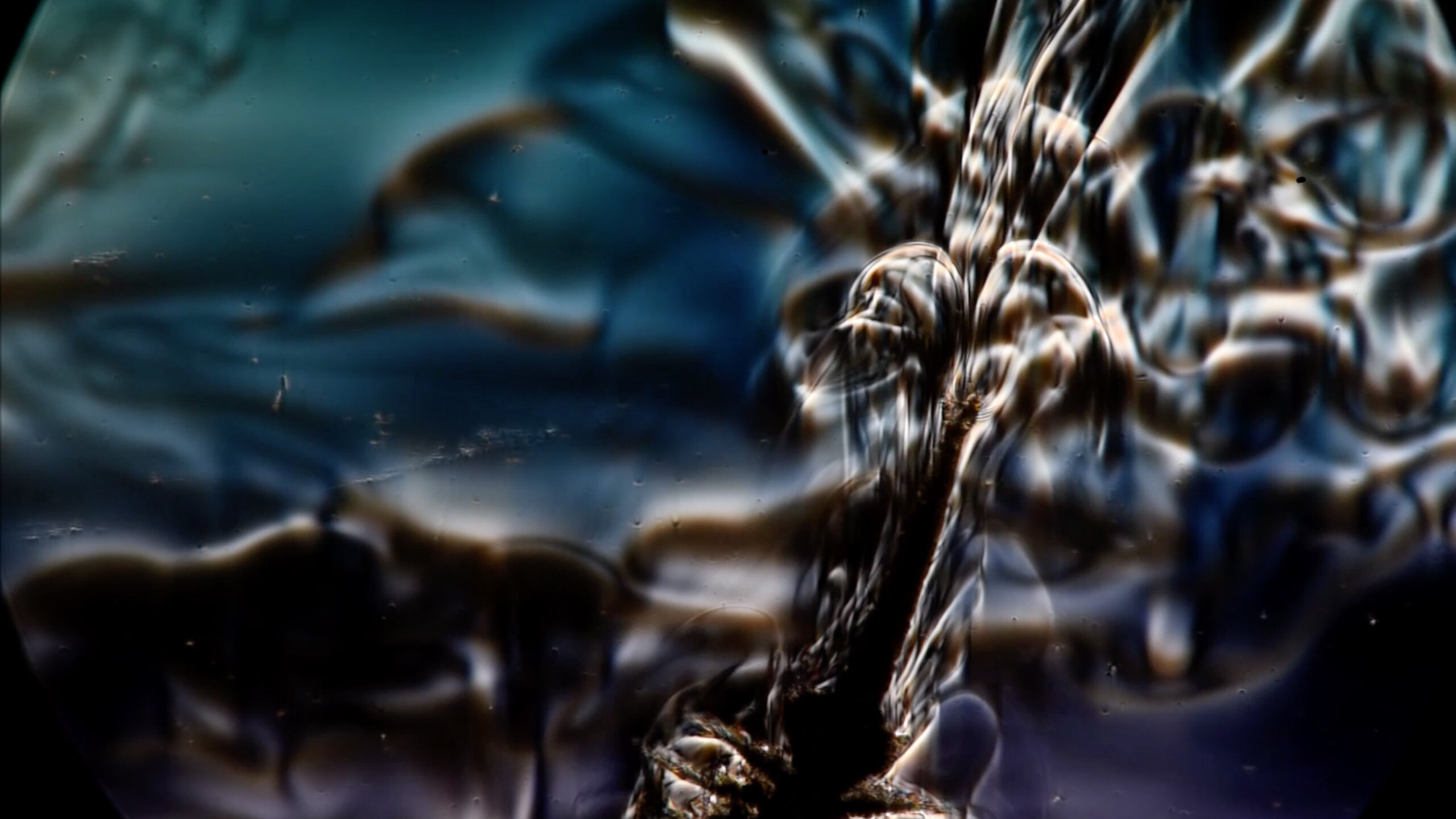 Swarms Of Tiny Sea Creatures Are Powerful Enough To Mix Oceans, Study ...