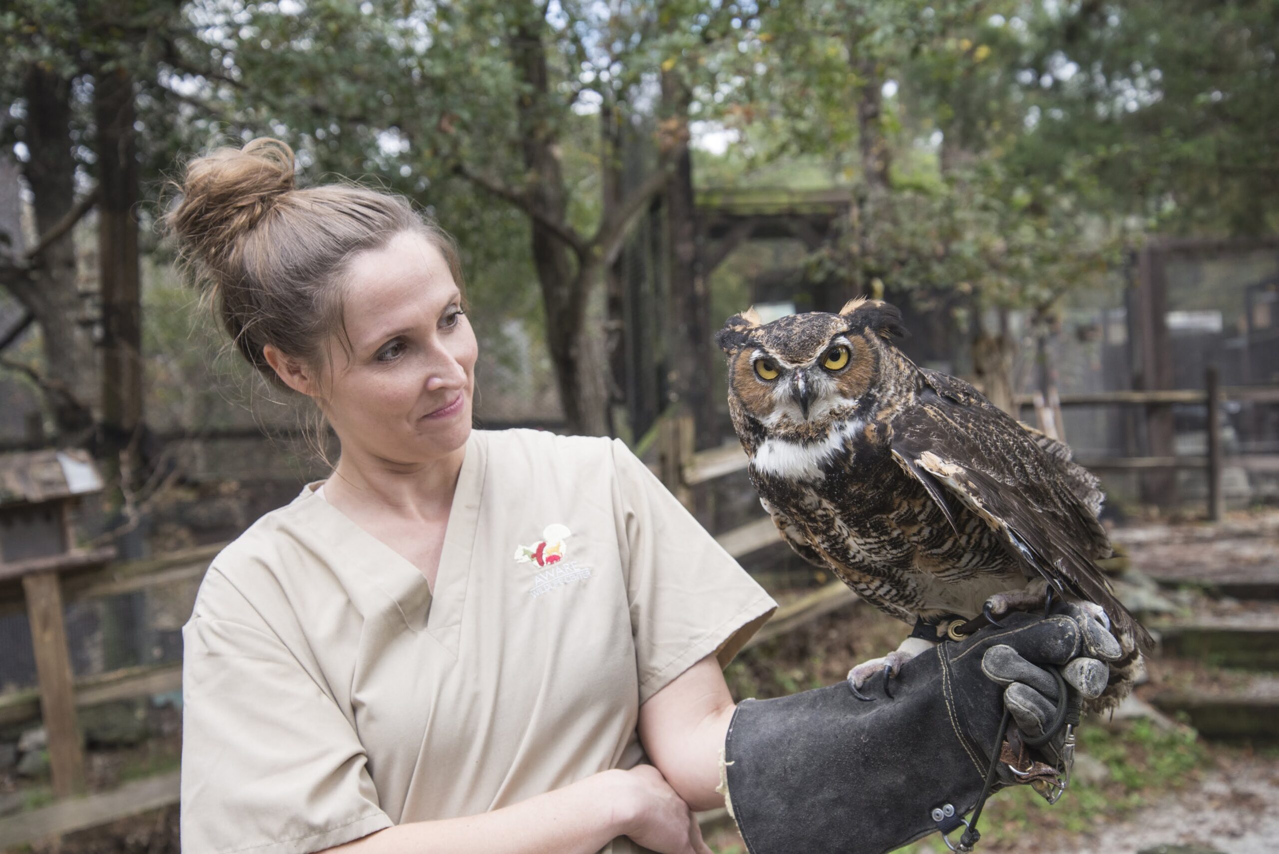 Wildlife Centers In Atlanta See An Uptick In Injured Animals Needing ...