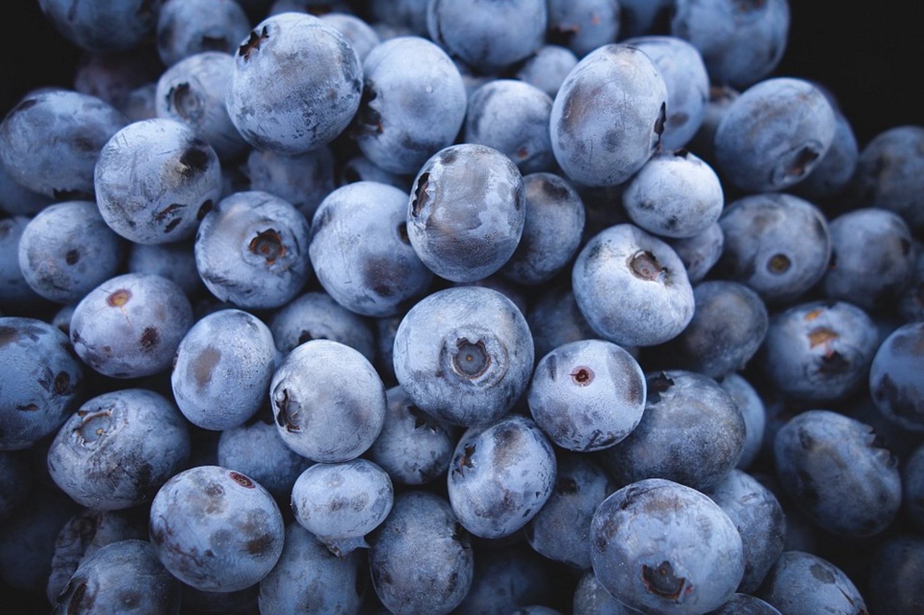 Georgia’s Blueberry Crop Suffers For Second Straight Year – WABE