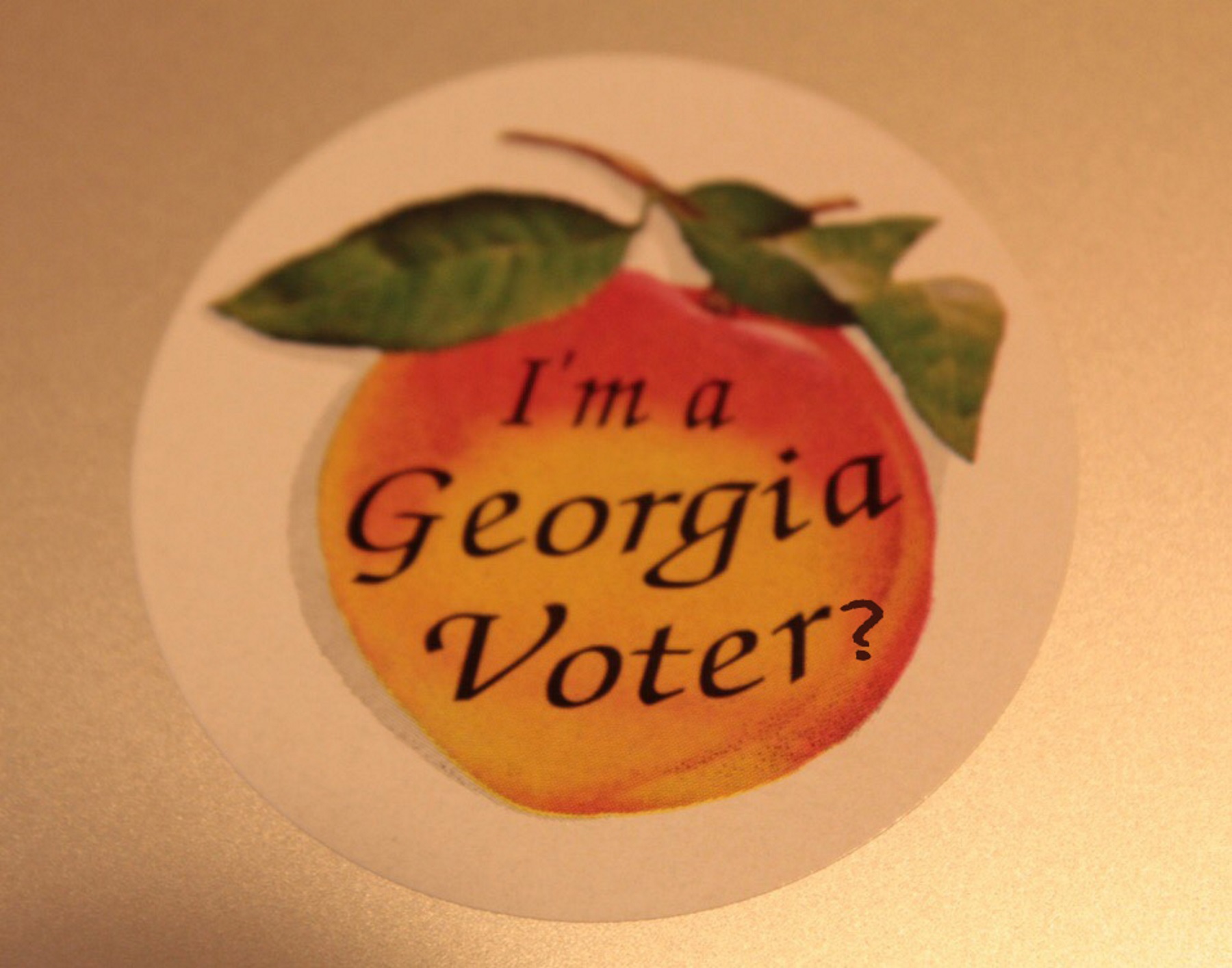 Student’s View In Georgia: My First Voting Experience Was Exhausting ...
