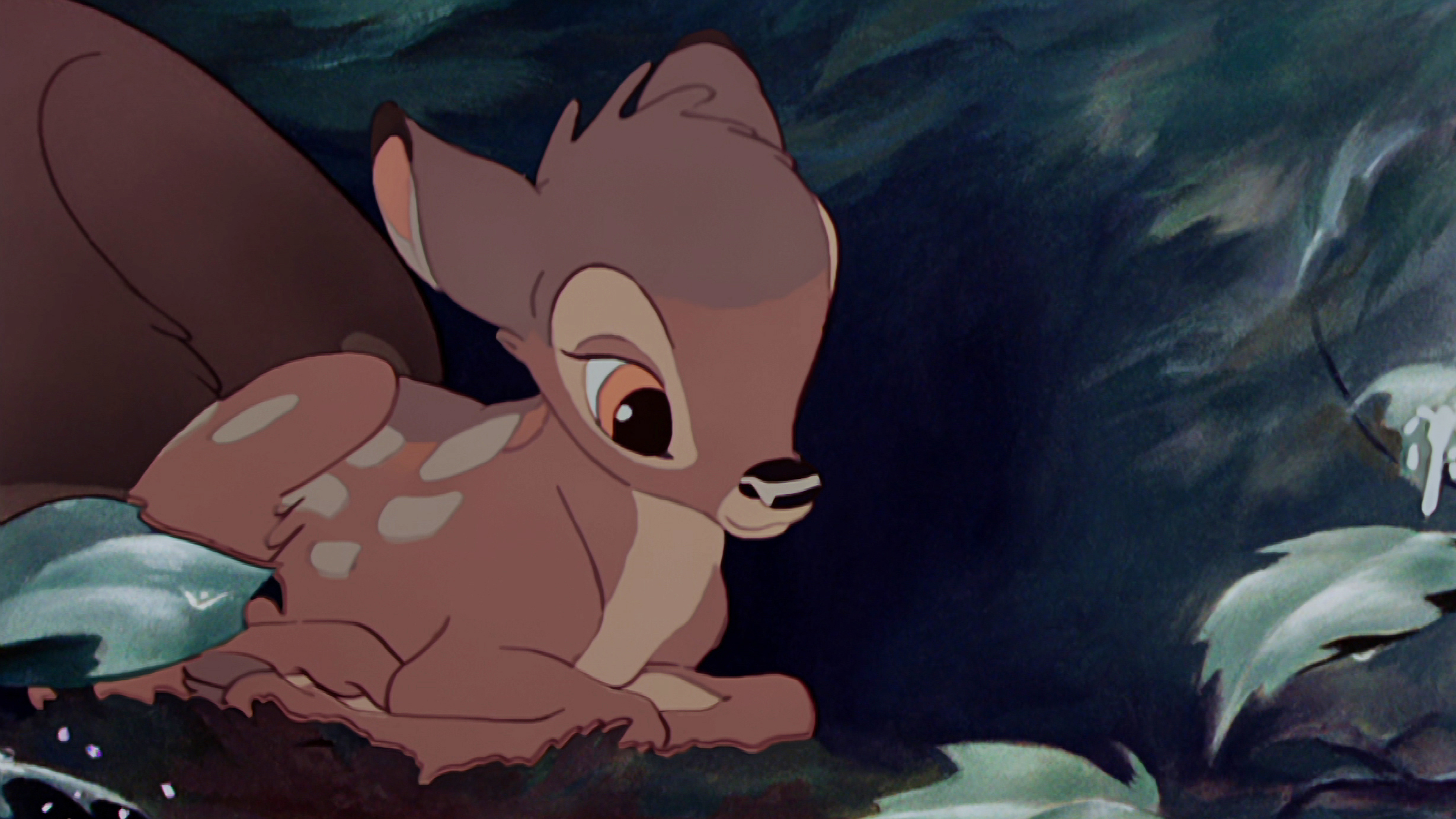 When Too Cute Is Too Much, The Brain Can Get Aggressive – WABE