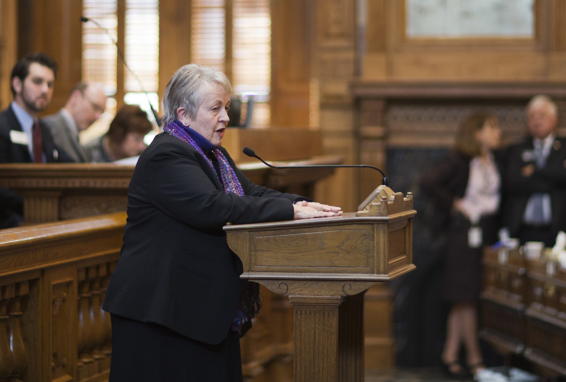 State Sen. Nan Orrock Of Atlanta Discusses Equal Rights Amendment – WABE