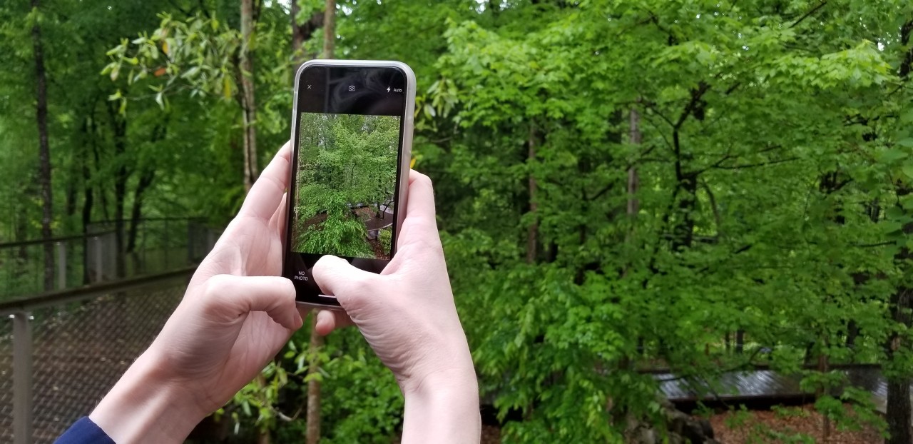 In This Nature Challenge, Cities Compete To Find The Most Wildlife – WABE