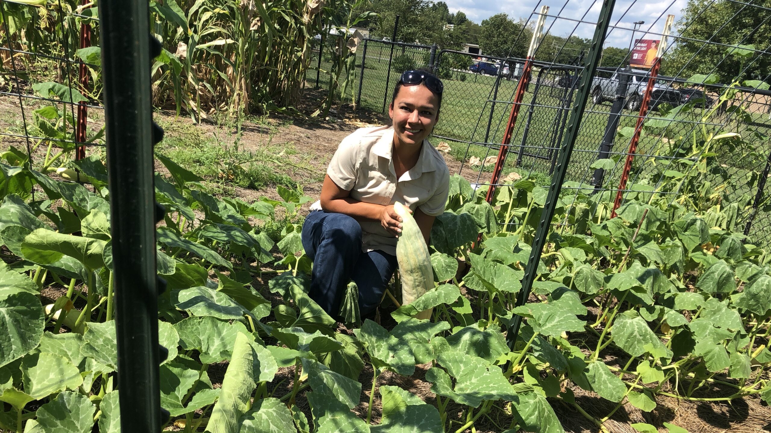 How A Seed Bank Helps Preserve Cherokee Culture Through Traditional ...