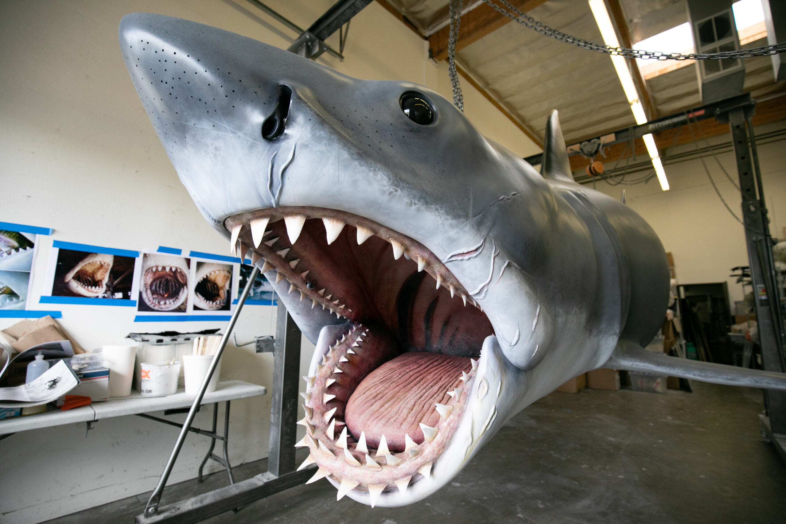 ‘Jaws’ Shark Gets His Bite Back: A Love Story – WABE