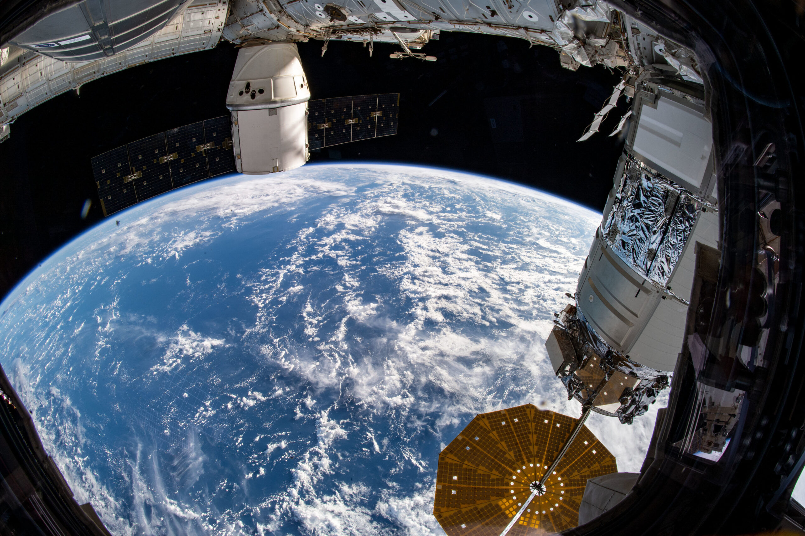 Scientists Sent Mighty Mice To Space To Improve Treatments Back On ...