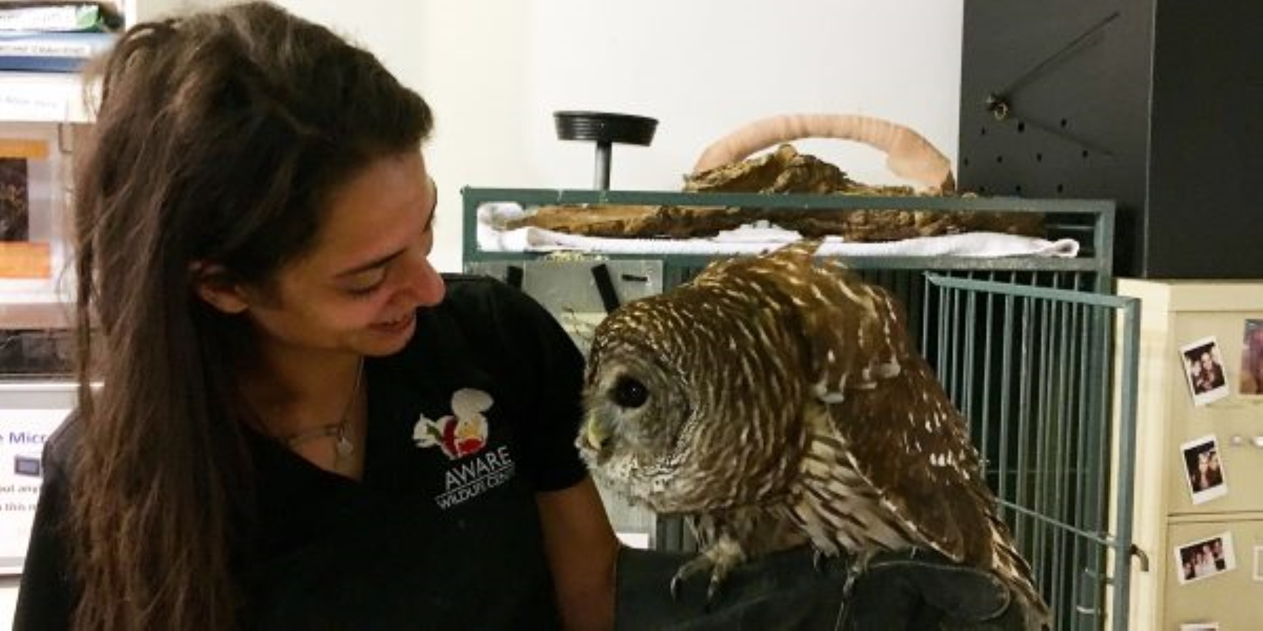 DeKalb Wildlife Rescue Center Adapts To Coronavirus With Less Staff ...