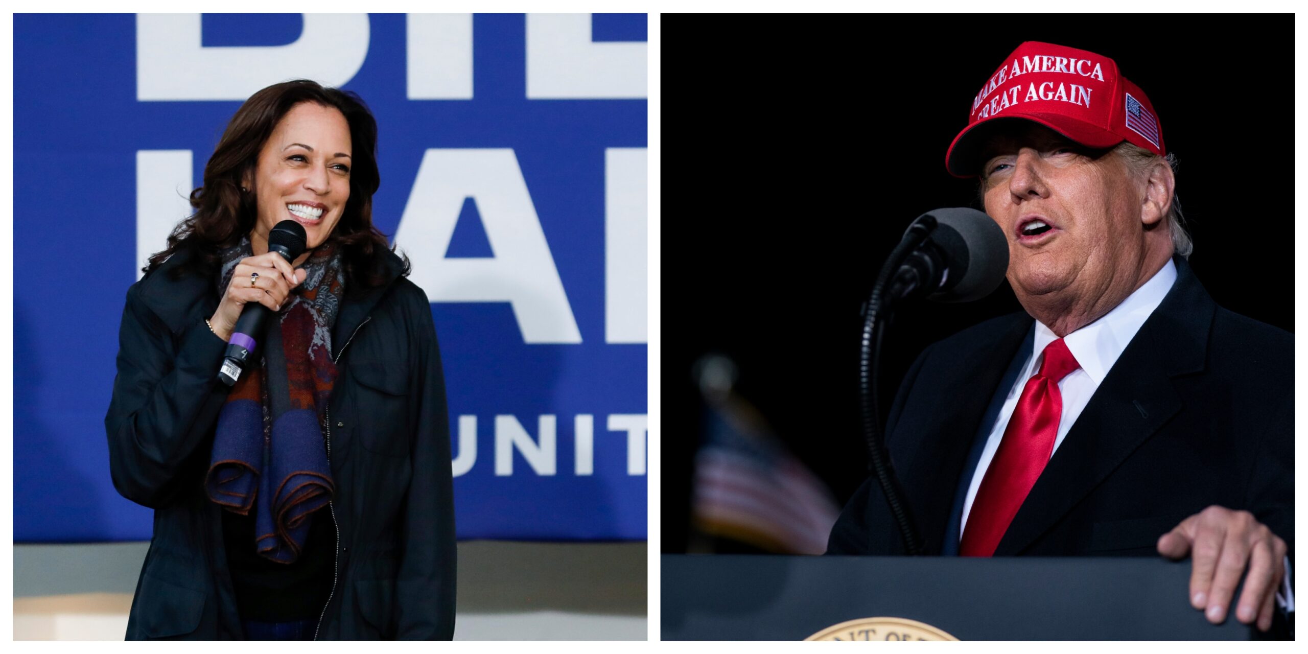 Harris, Trump Rally In Georgia As Campaign Nears An End – WABE