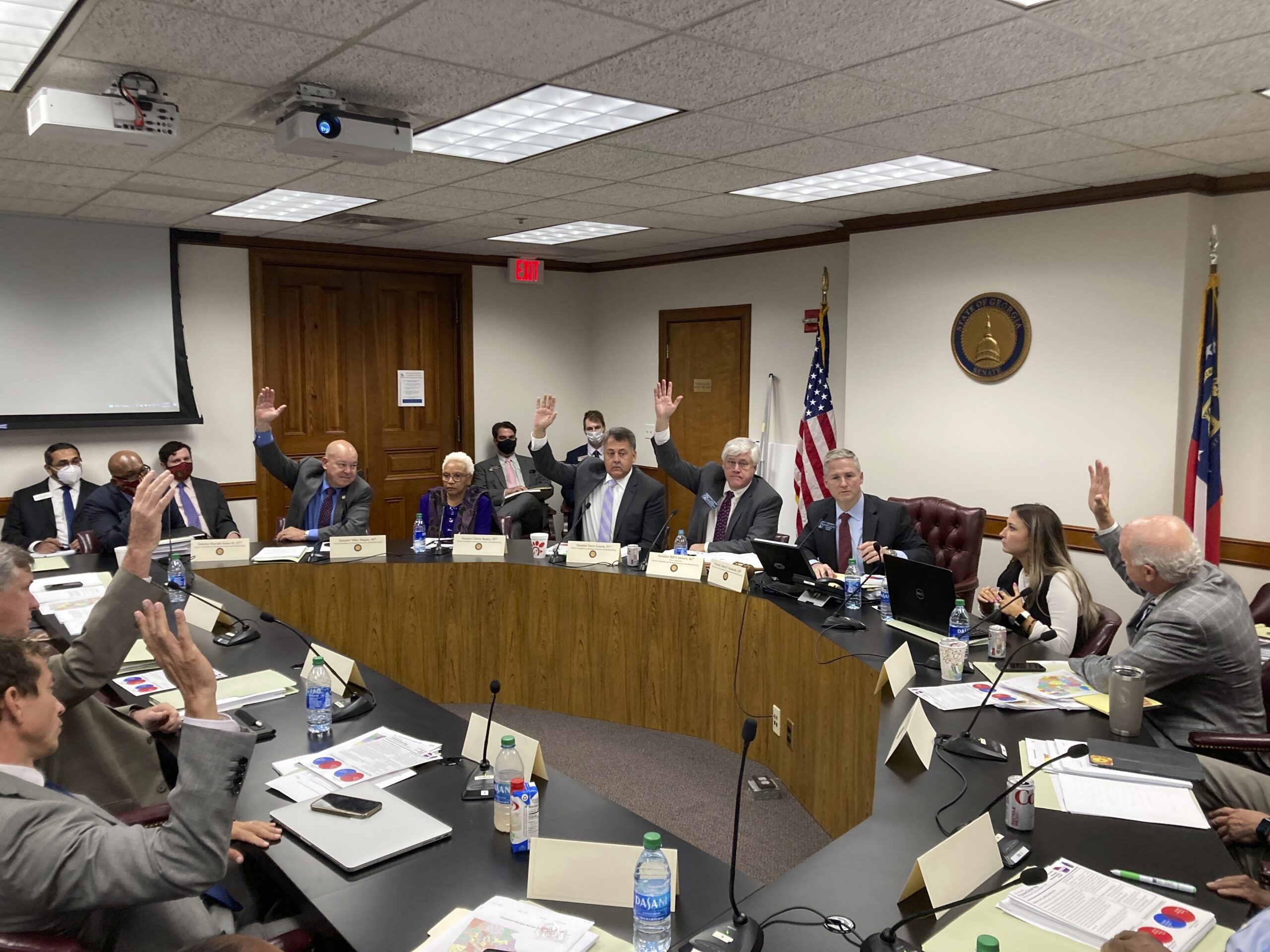 Panel passes Georgia Senate map that projects 33-23 GOP edge – WABE