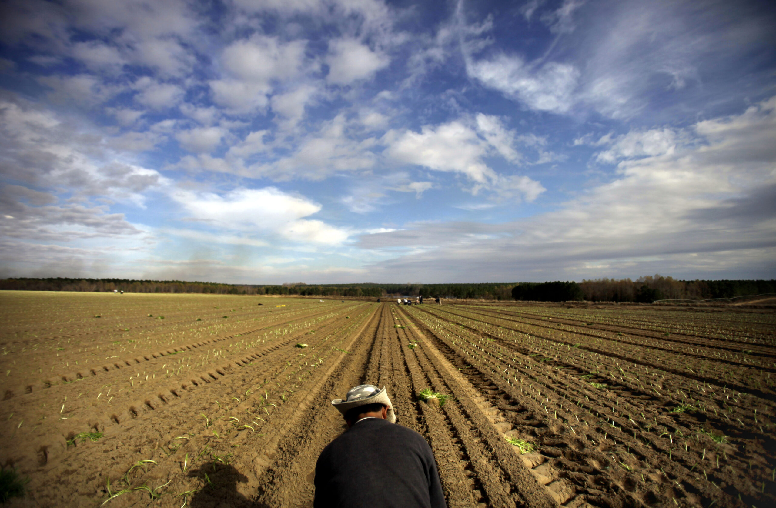Georgia farmers grow $2.6B in crops in 2021, up 20 percent – WABE