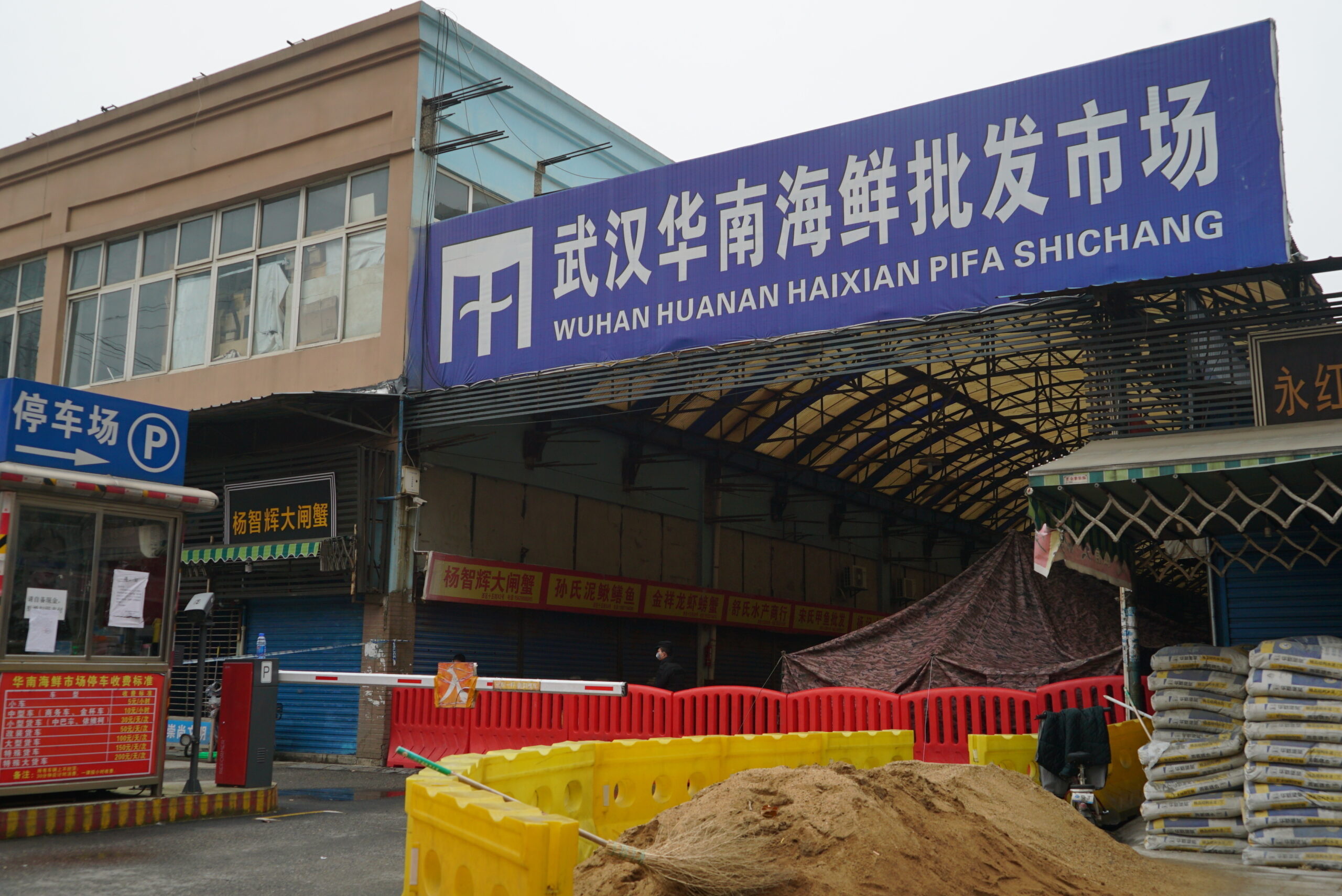Striking new evidence points to seafood market in Wuhan as pandemic ...