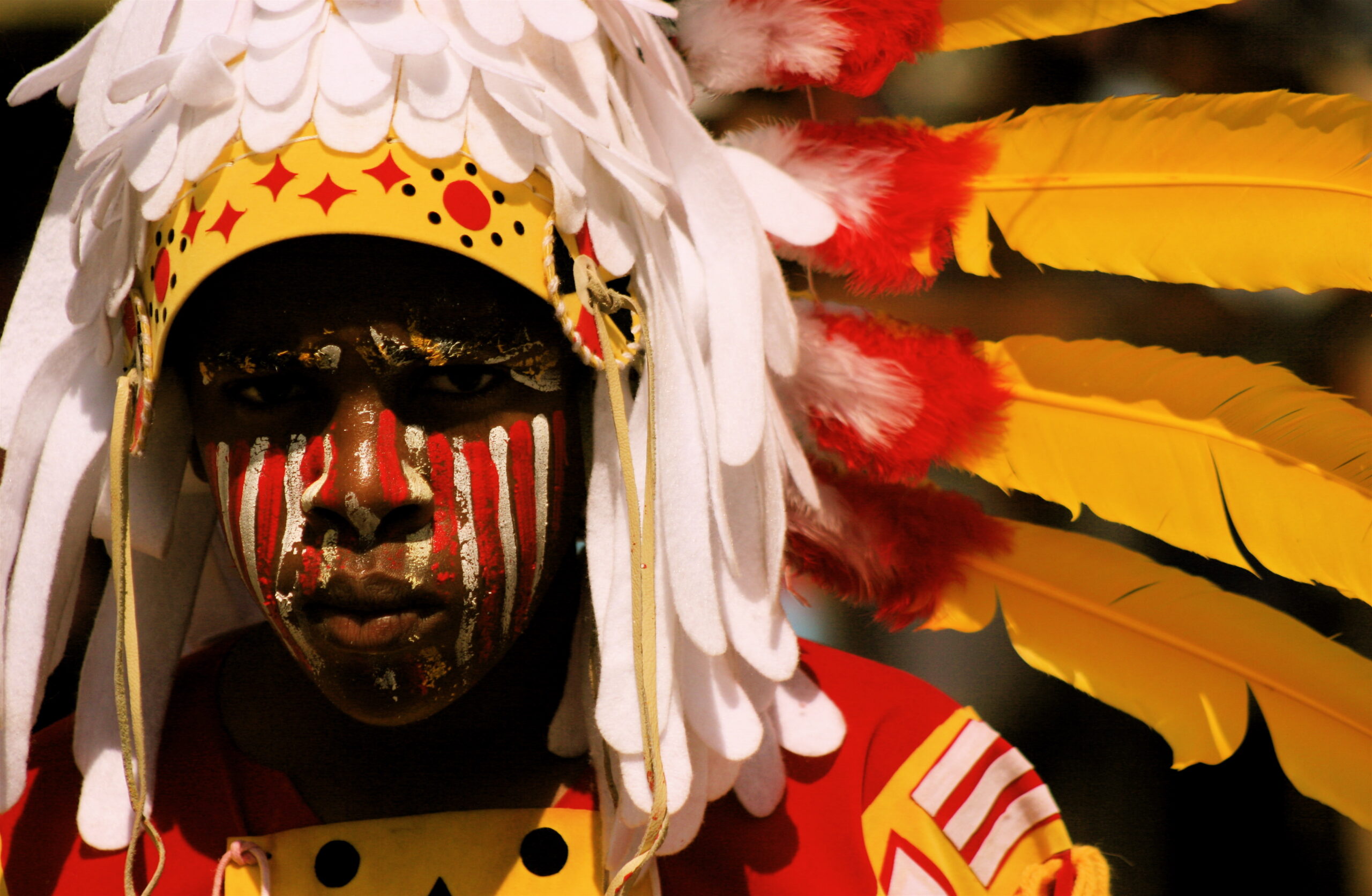 Dr. Fahamu Pecou depicts the joys and challenges of Blackness in his ...