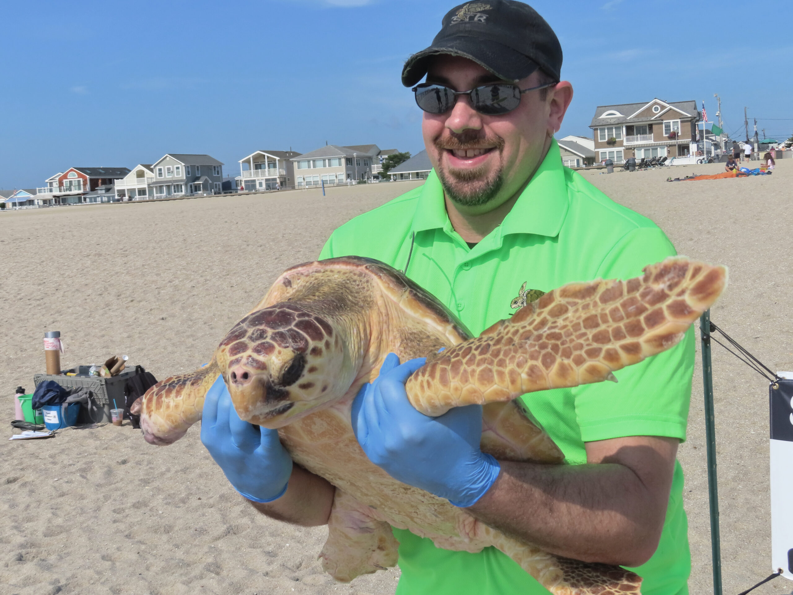 World’s toughest turtle? Survivor among 8 returned to ocean – WABE