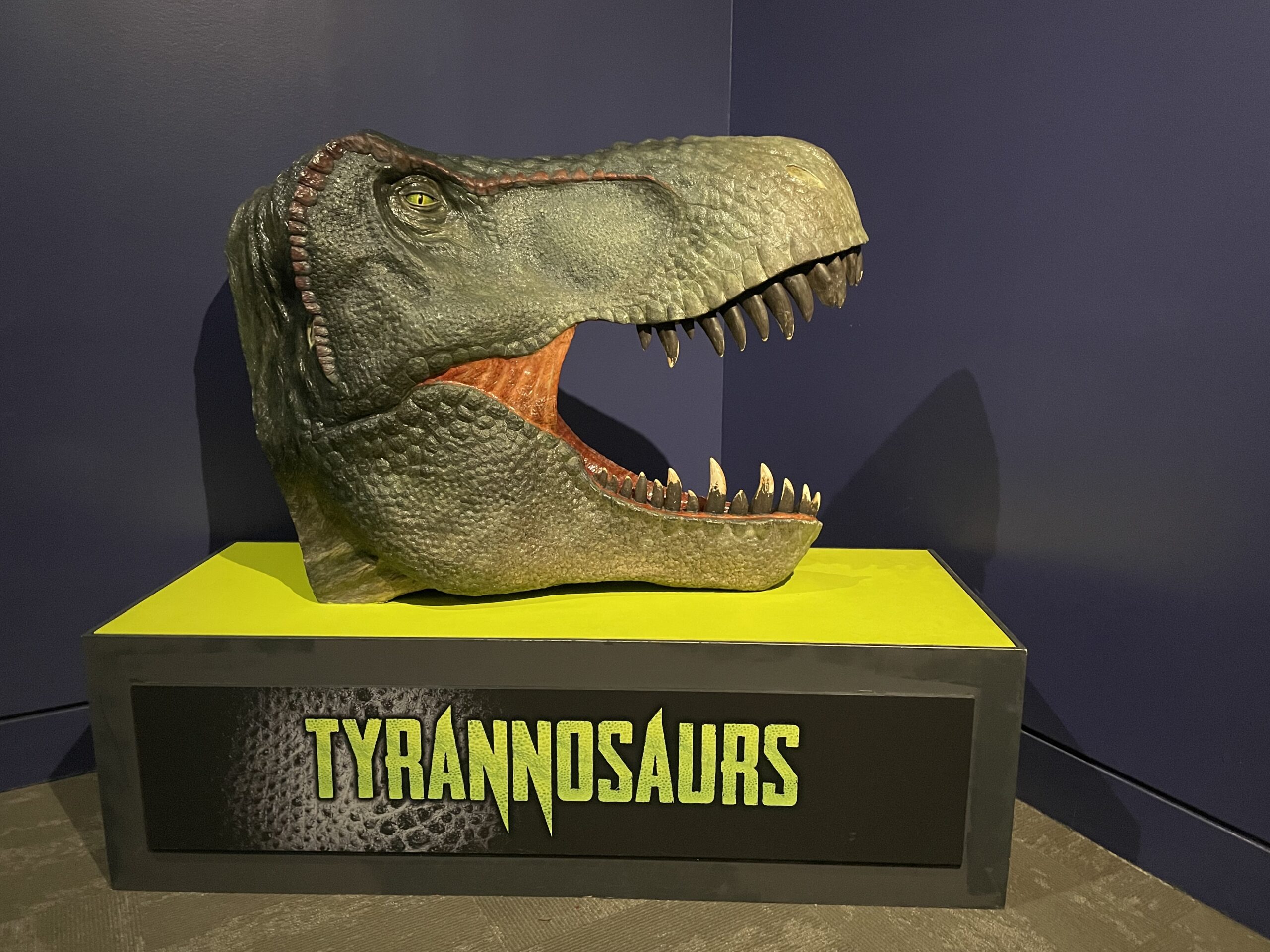 Fernbank’s Dino-Mite Summer showcases 160 million years of Tyrannosaurs ...