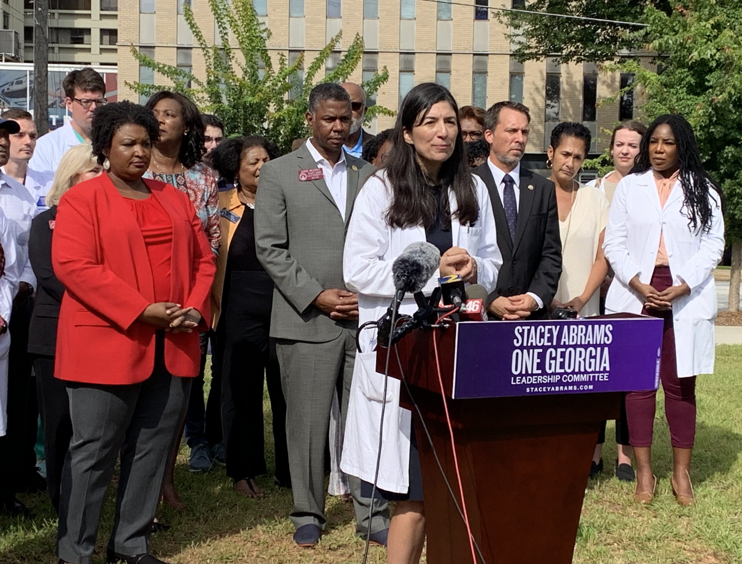 Georgia Democratic lawmakers, physicians urge Wellstar not to close ...