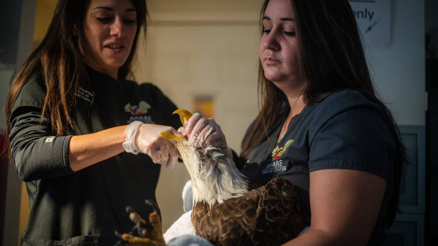 WABE 2022: A year in photos – WABE