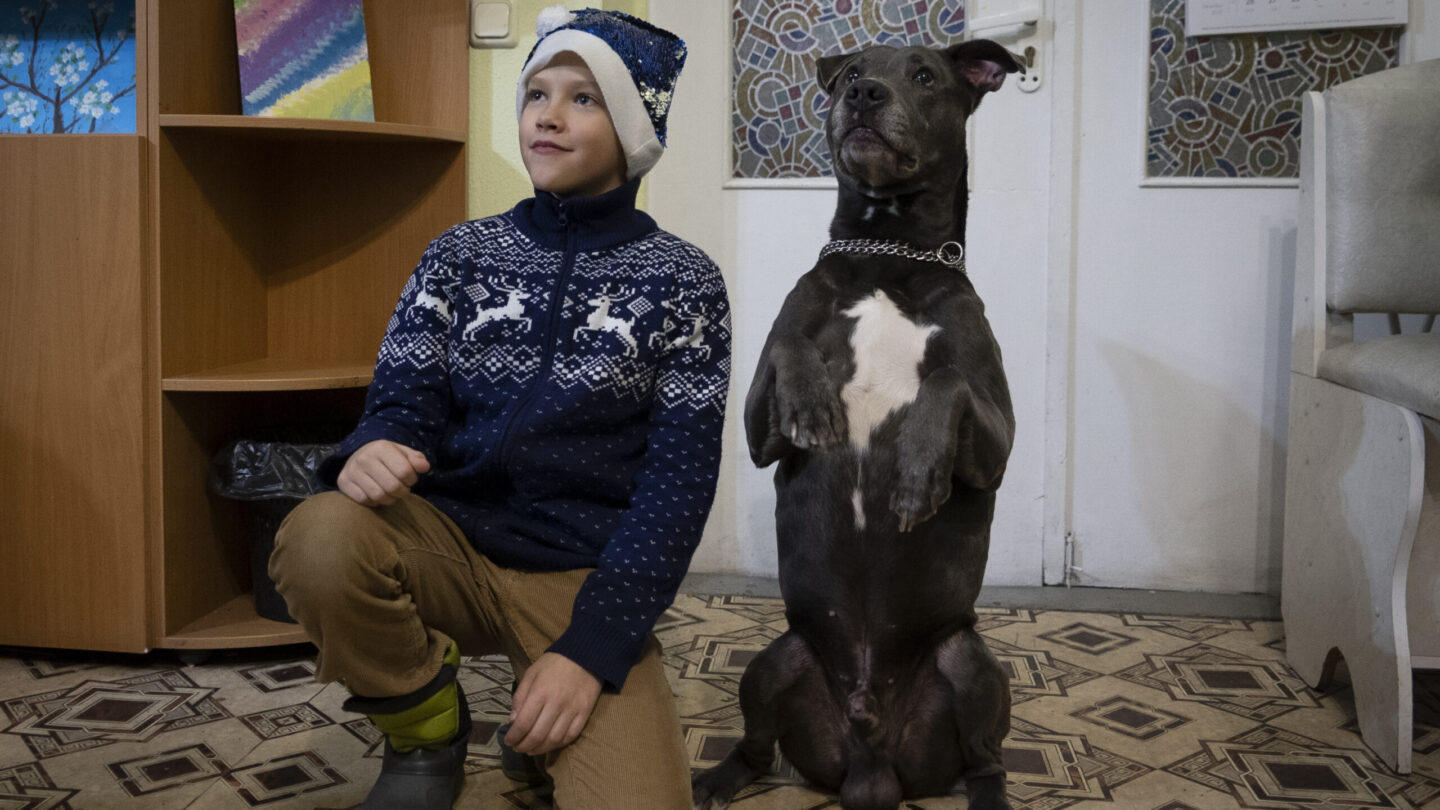 Dog therapy provides ‘freedom’ for kids facing trauma of the war in ...