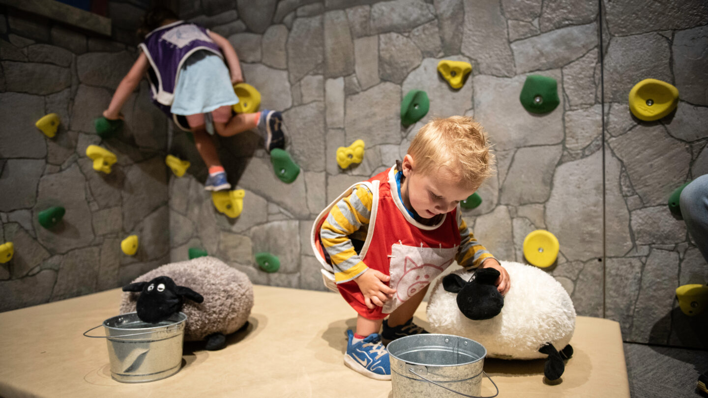 Interactive kids exhibit ‘Shaun the Sheep: Flock This Way!’ on view at ...