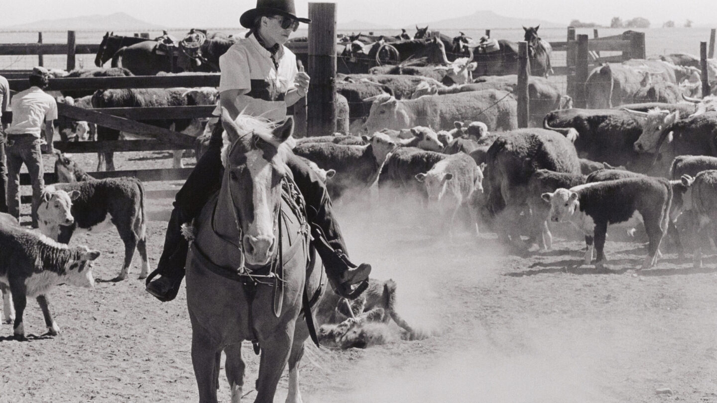 Photographer Barbara Van Cleve showcases the lives of women on the ...