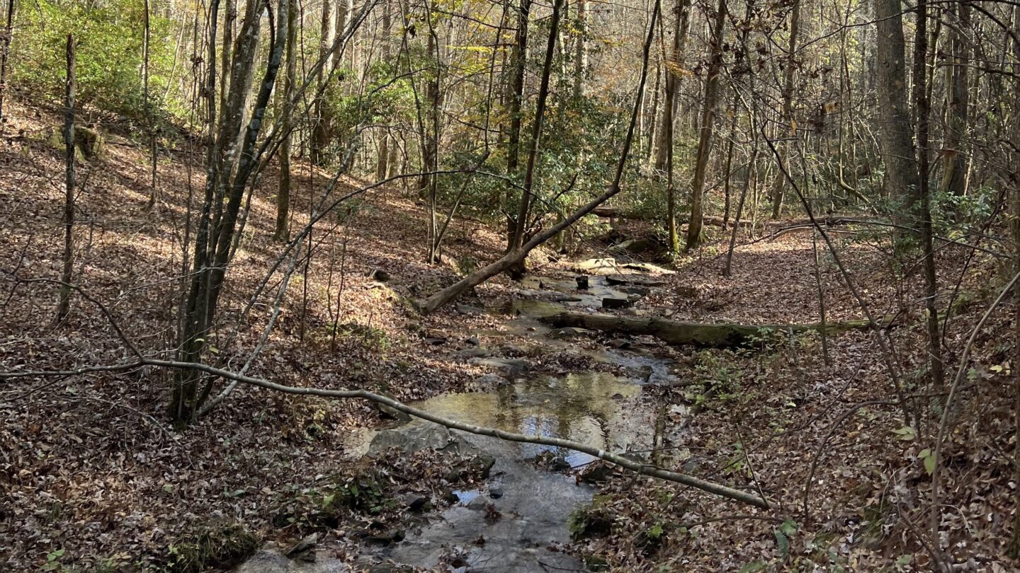 Georgia Adopt-A-Stream celebrates 30 years of local residents ...