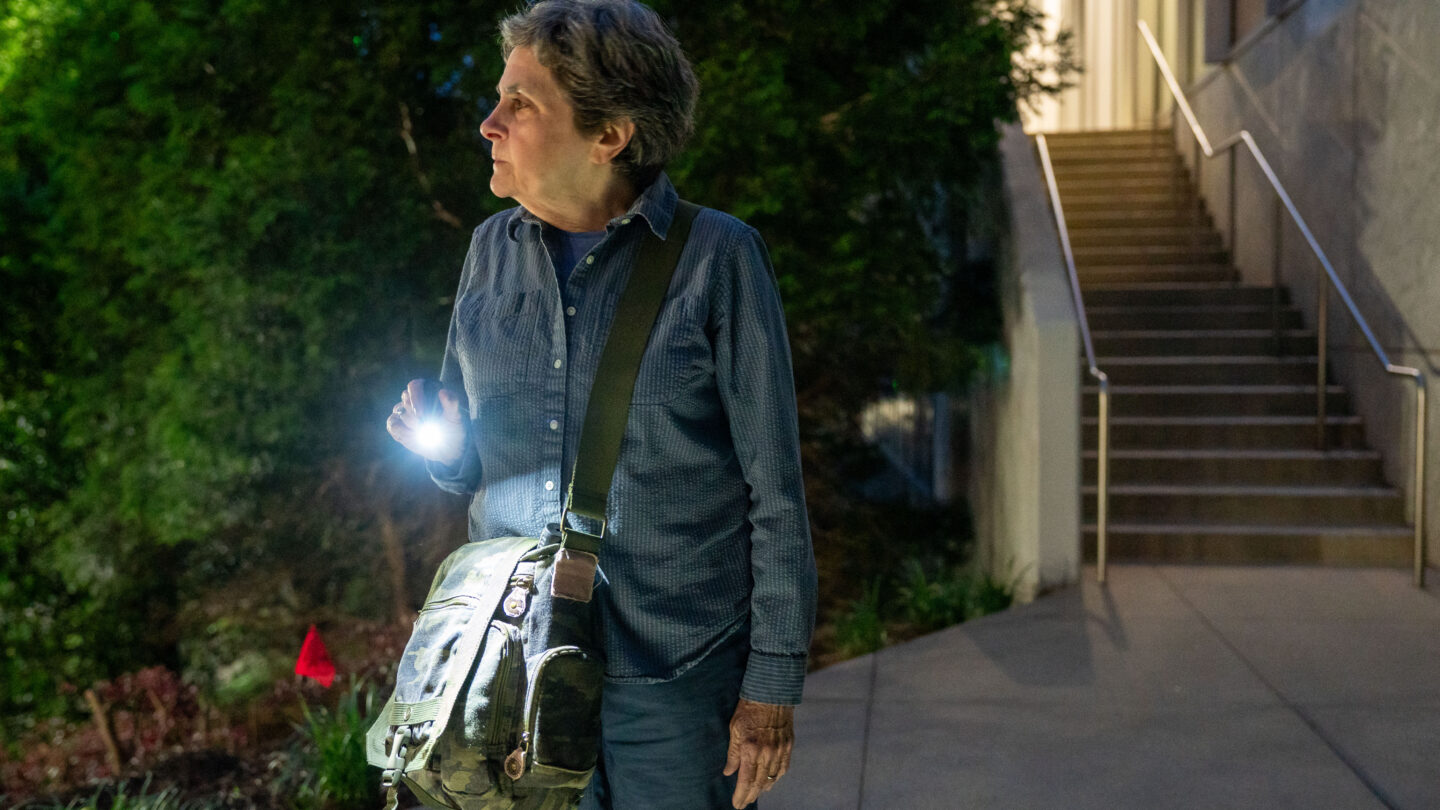 Atlanta volunteers research birds colliding into buildings during spring migration – WABE