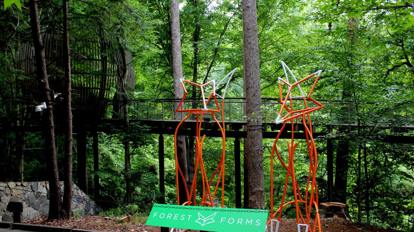 Fernbank WildWoods features larger-than-life sculpture exhibition – WABE