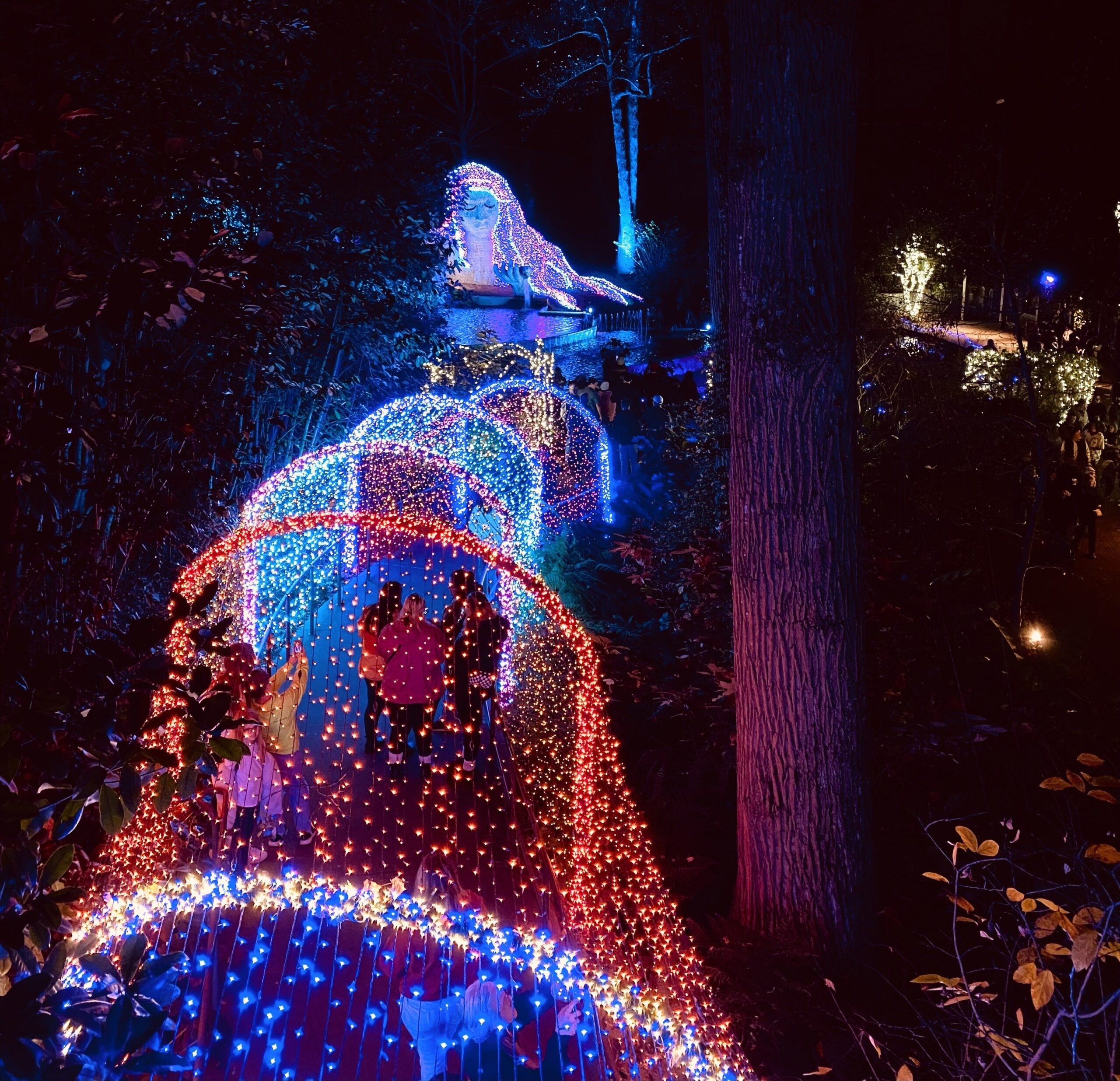 Atlanta Light Show Atlanta Botanical Garden Shines “Green” This
