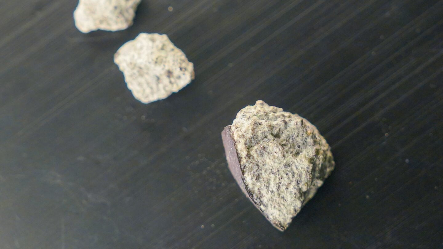 UGA researchers say meteorite that hit metro Atlanta home is older than ...