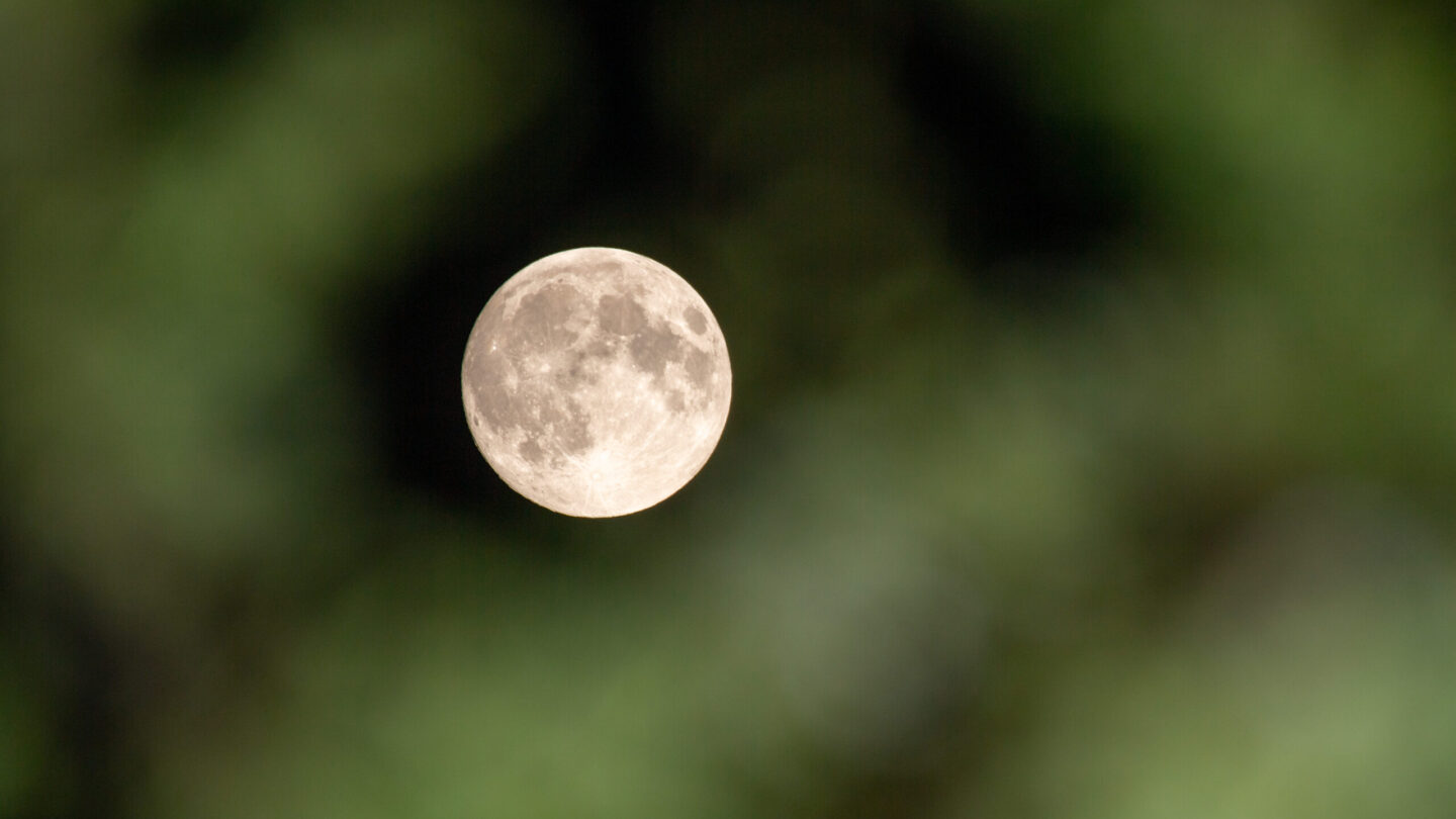The first supermoon of the year will light up the night sky Monday ...