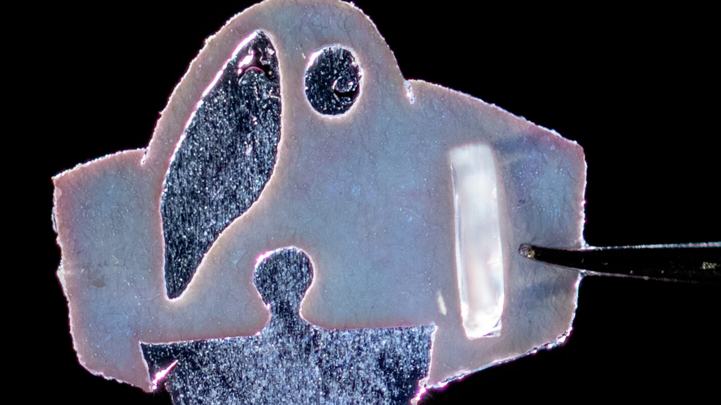 Atlanta man helped build robotic fish that swim to the beat of human ...