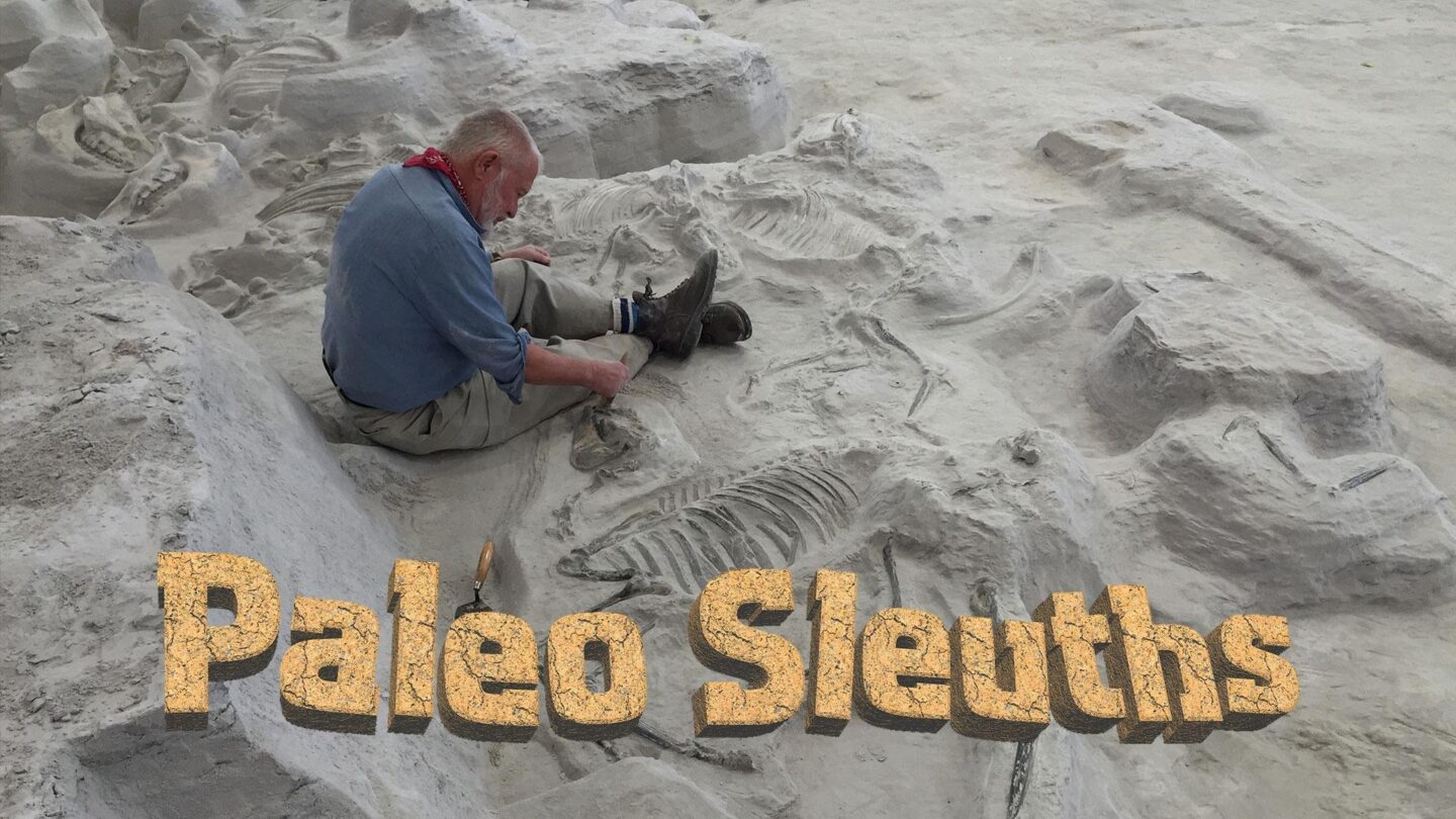 Paleo Sleuths – WABE