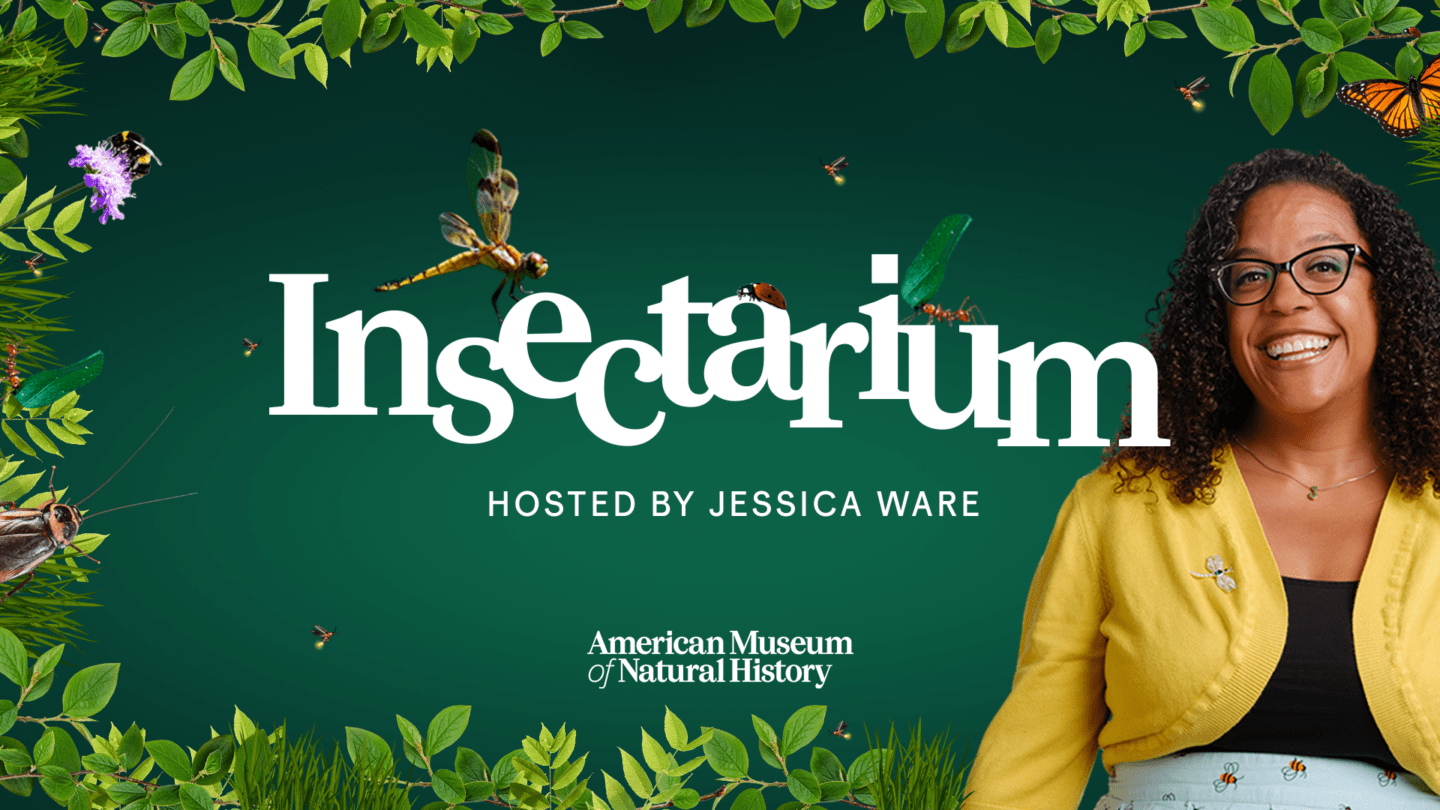 Insectarium – WABE